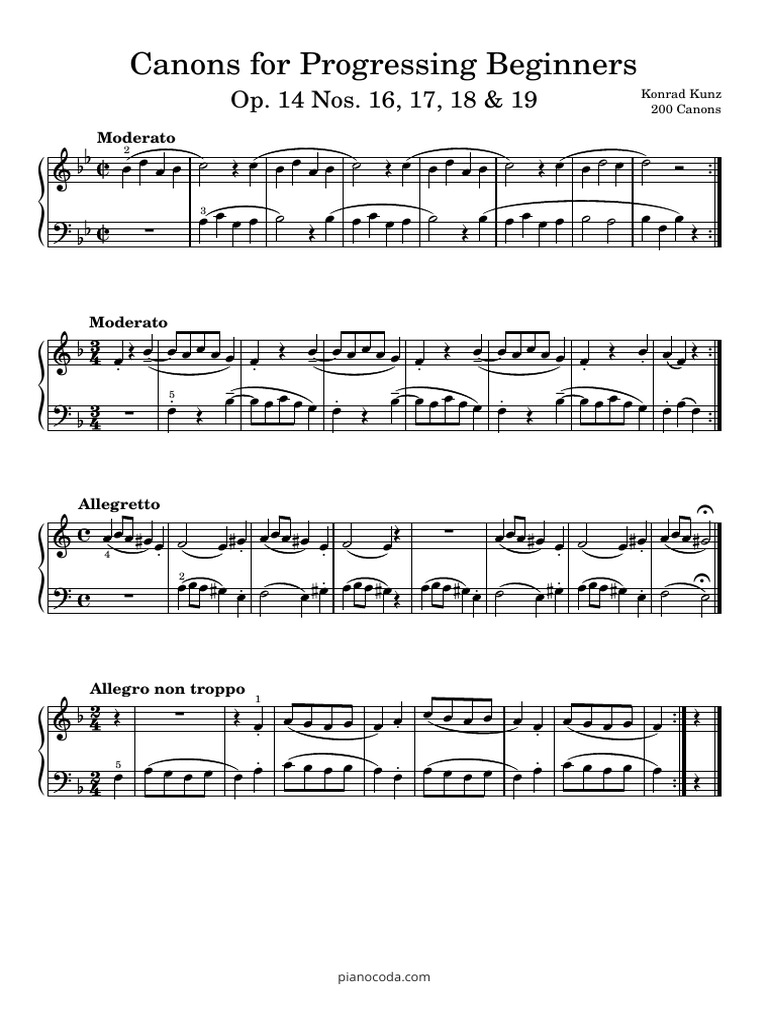 4 Canons for Progressing Beginners | PDF