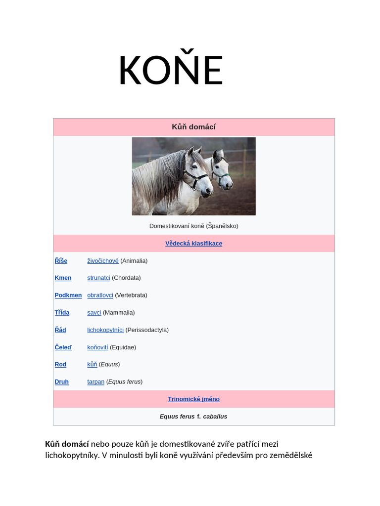 KOŇE Wikipedie | PDF