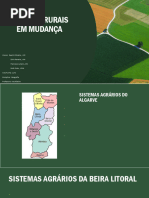 Geografia - Beira Litoral | PDF | Agricultura | Fertilizante