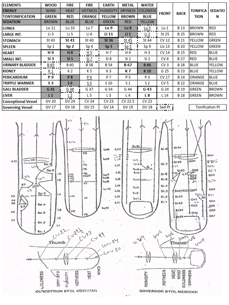 Five Shu Points and Tonification Chart | PDF