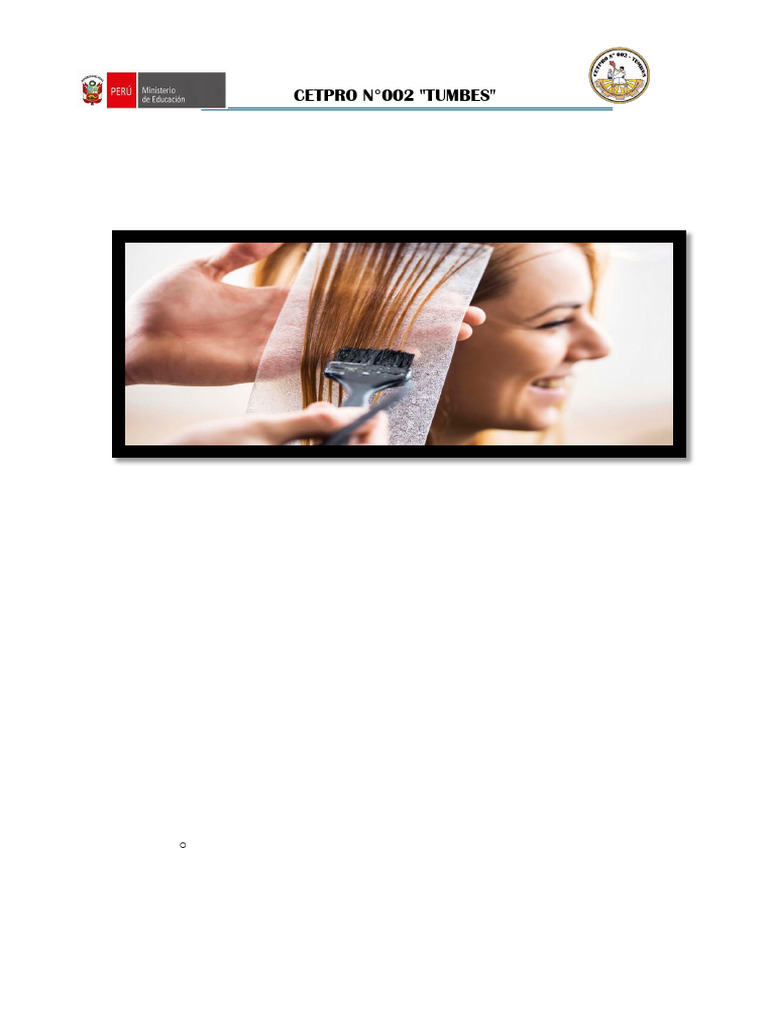 Decoloración Capilar: Tipos y Etapas | PDF | Pelo | Color