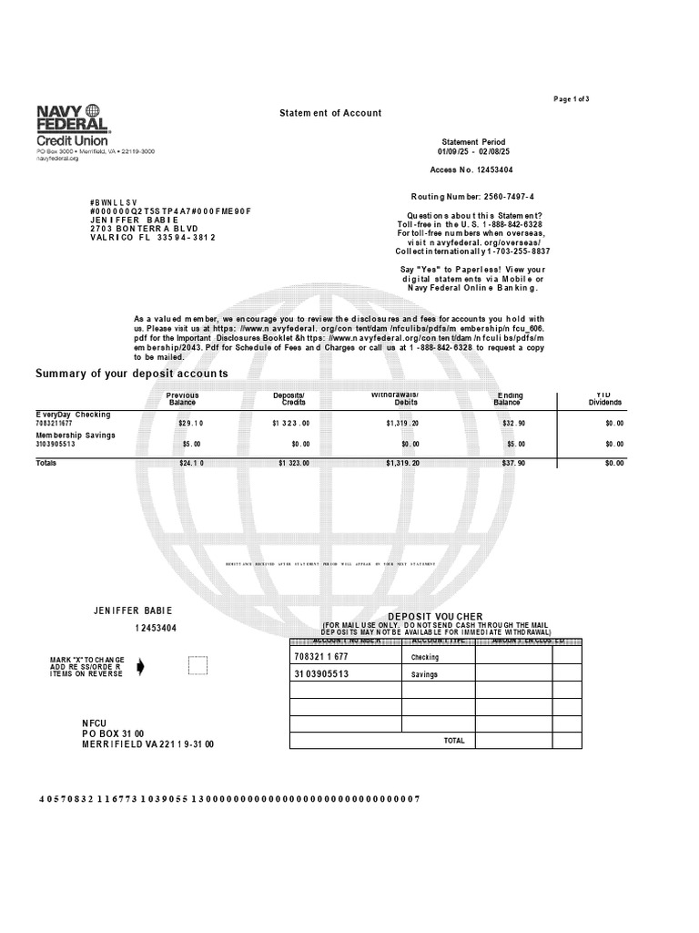 Navy Federal Account Statement | PDF | Financial Economics | Personal ...