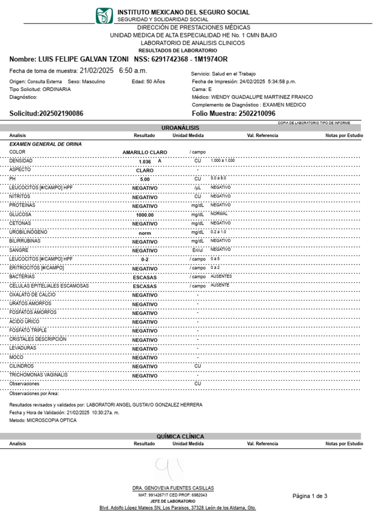 Luis Felipe Galvan Tzoni | PDF | Especialidades Medicas