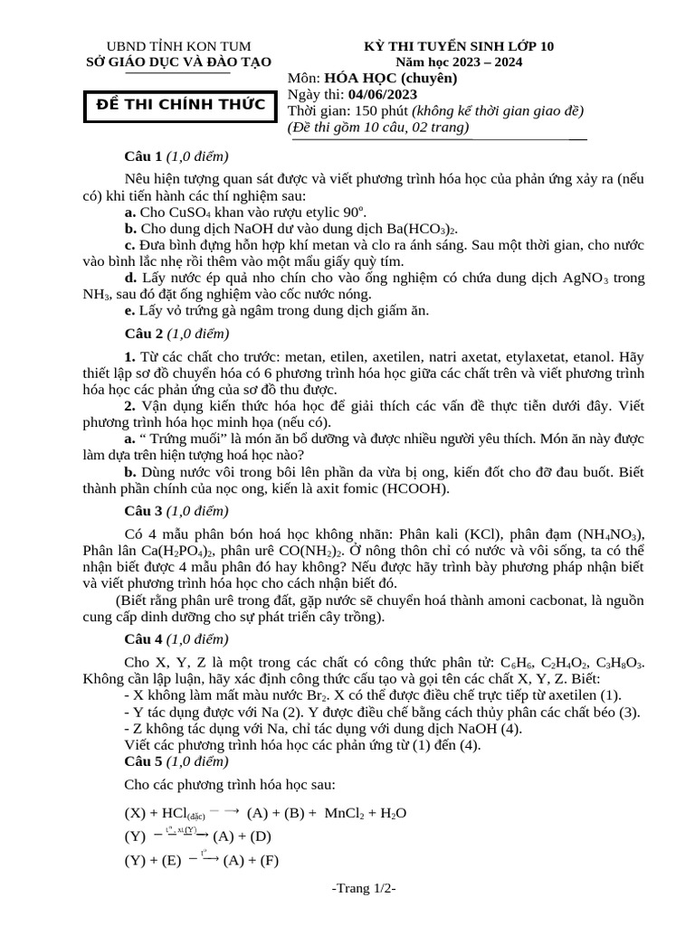 CT 2023 2024 | PDF