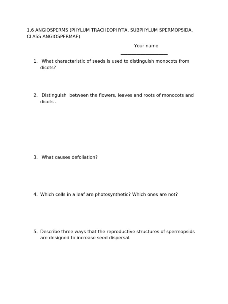 Monocots vs. Dicots: Key Differences | PDF