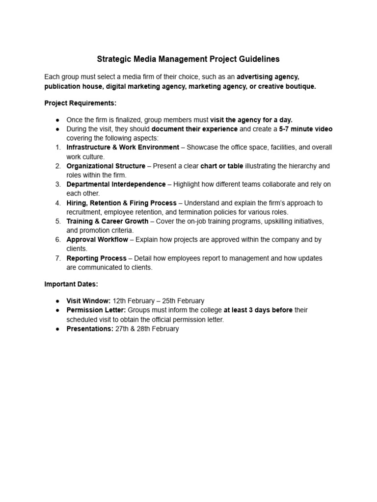 Strategic Media Management Project Guidelines | PDF