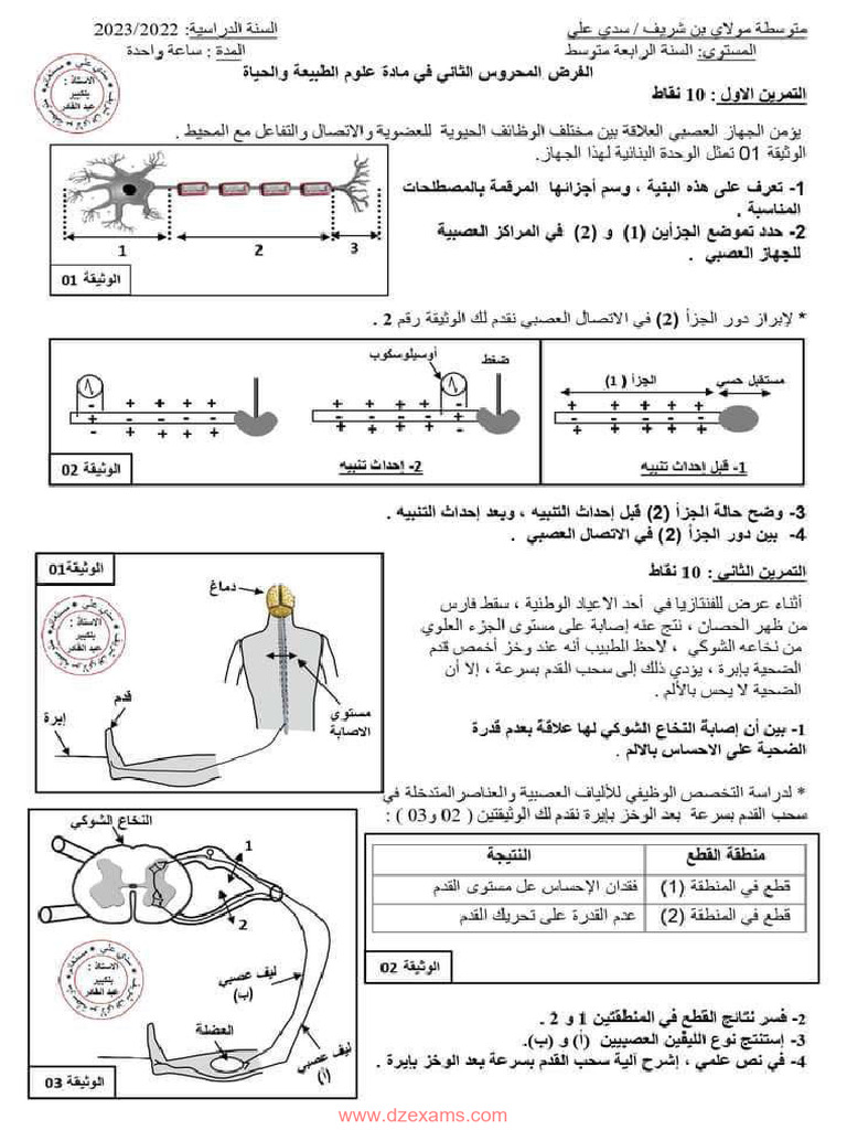 Dzexams 4am Sciences 814078 | PDF