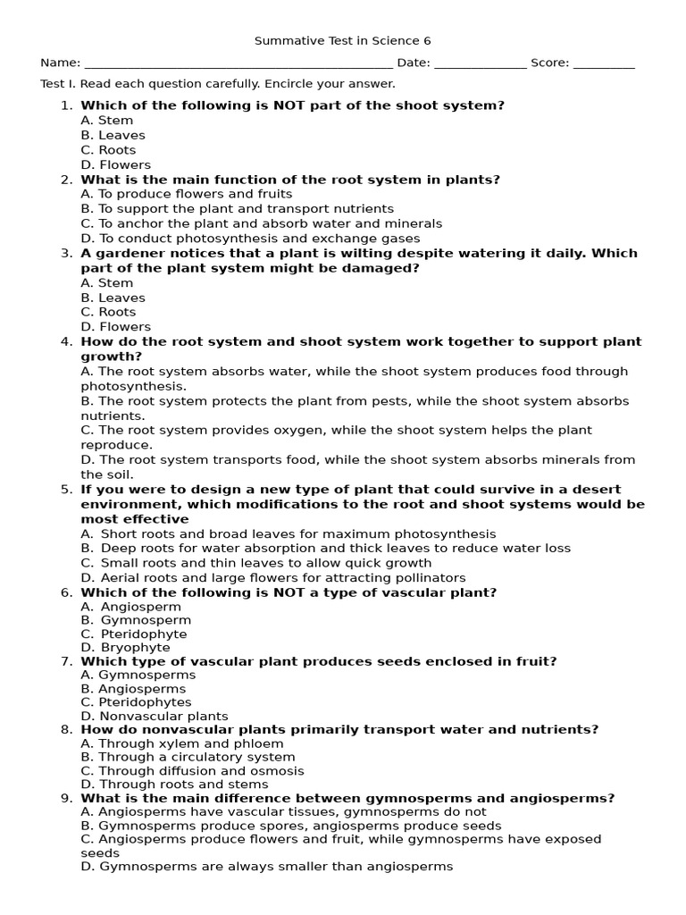 Summative Test in Science 6 | PDF | Plants | Leaf