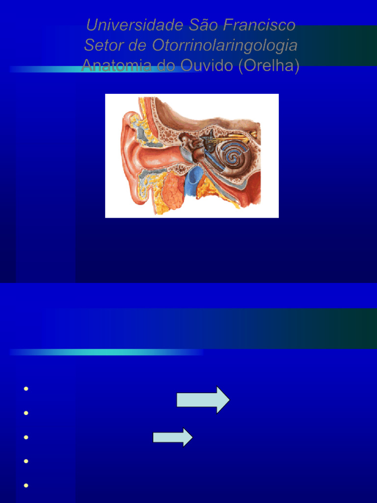 4 - Anatomia Da Orelha | PDF | Sistema vestibular | Orelha