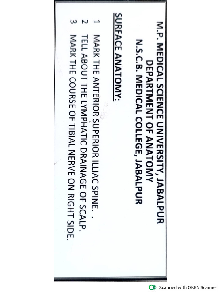 Surface Markings PDF NSCB - 231227 - 234201 | PDF