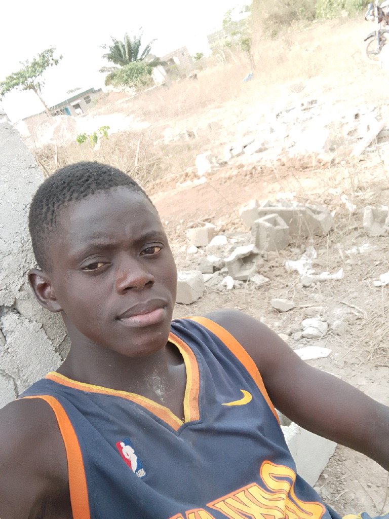 PDF Phoenix 20250228 094833 | PDF