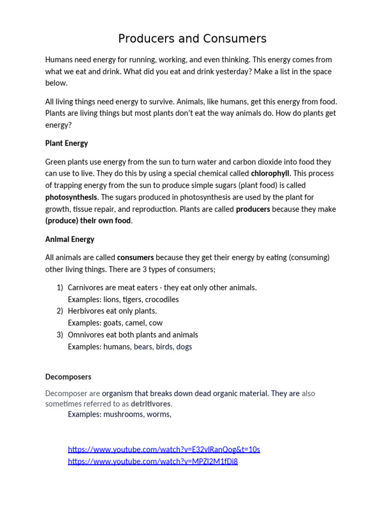 Energy Producers and Consumers Explained | PDF