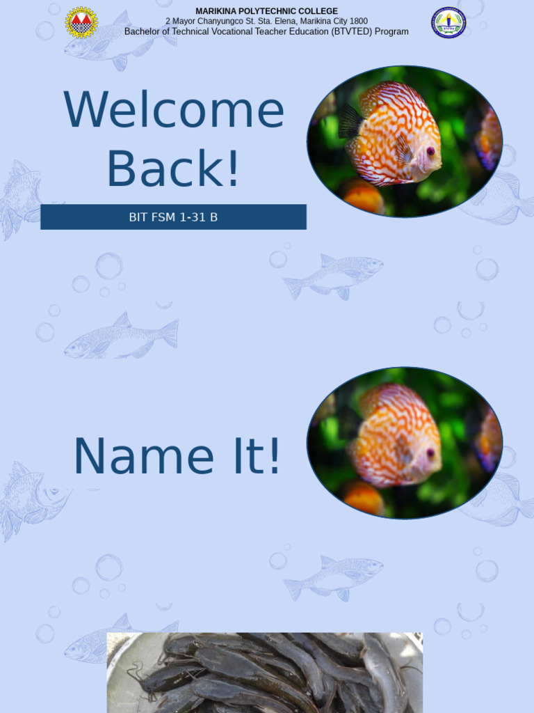 Fish Types & Classification Guide | PDF | Skeleton | Food Industry