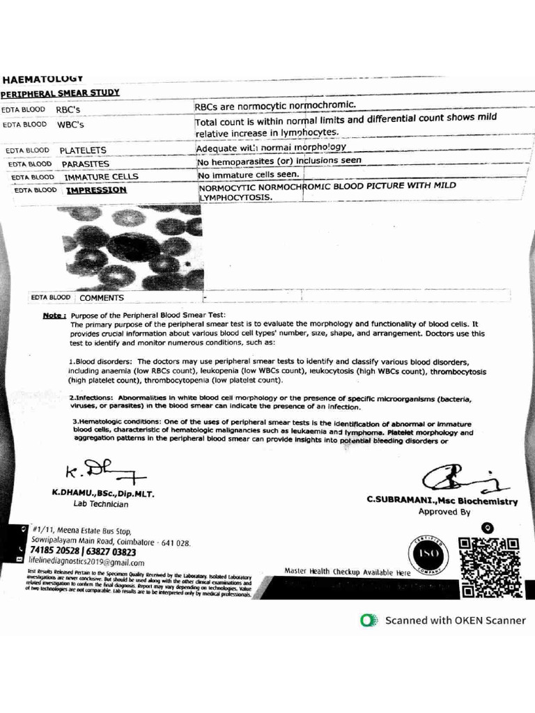 Blood Test Report | PDF