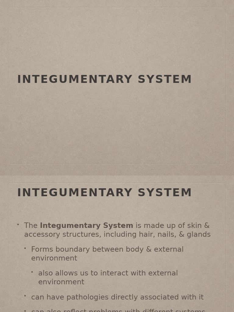 Integumentary System FA 2024 | PDF | Epidermis | Skin