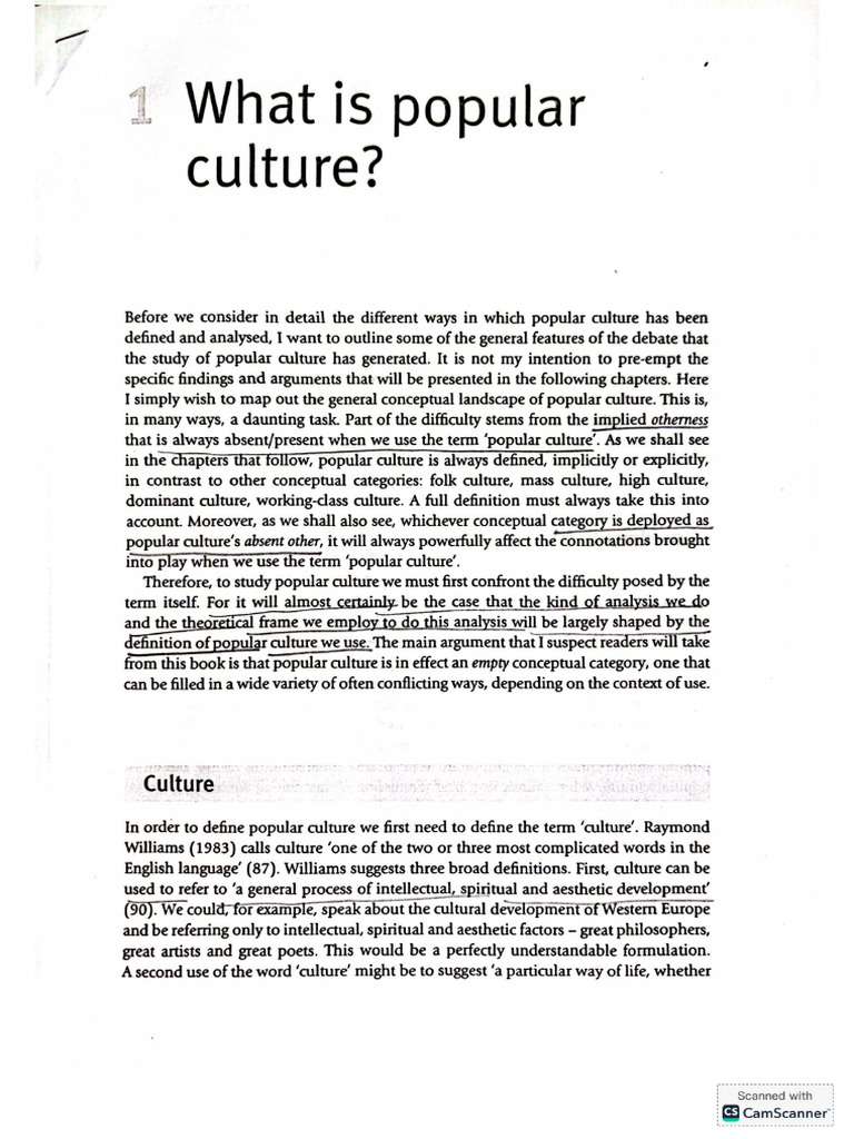 What Is Popular Culture | PDF