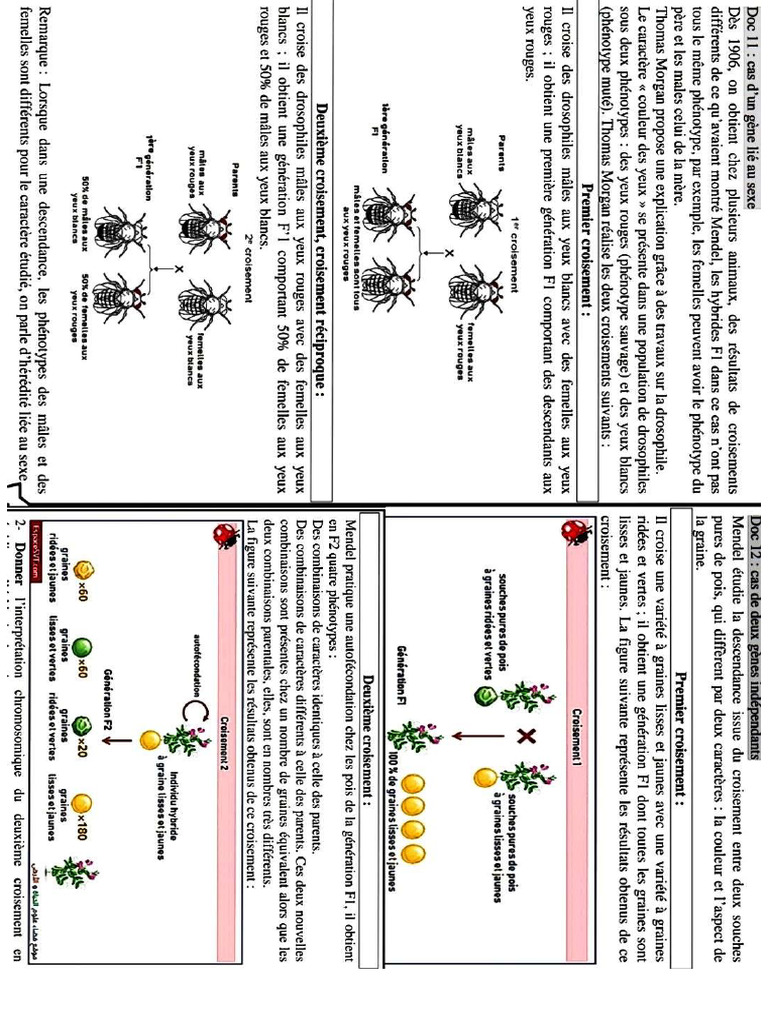 ACE Scanner - 2025 - 02 - 10 | PDF
