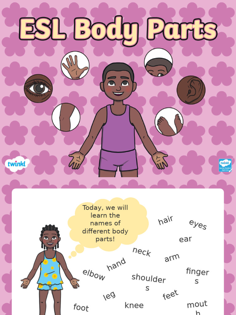 Learn Body Parts with Fun Games | PDF | Limbs (Anatomy)