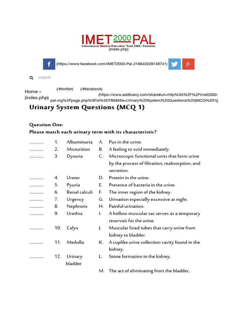 Urinary System Questions (MCQ 1) | PDF | Kidney | Urinary System