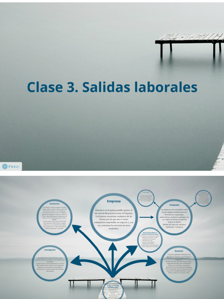 Salidas Laborales | PDF