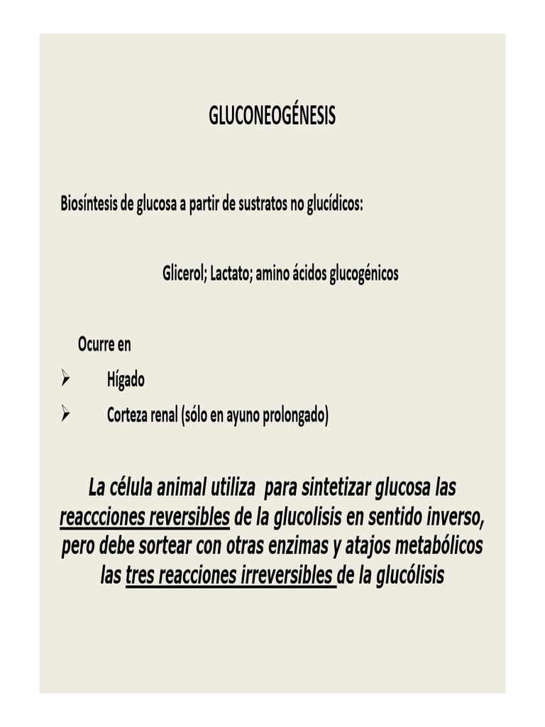 Gluconeogénesis: Síntesis de Glucosa | PDF | Glucólisis | Bioquímica