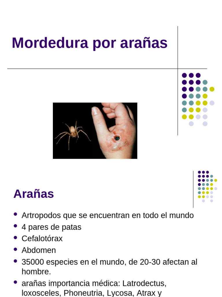 5 - Mordedura Por Arañas | PDF | Araña | Enfermedades y trastornos
