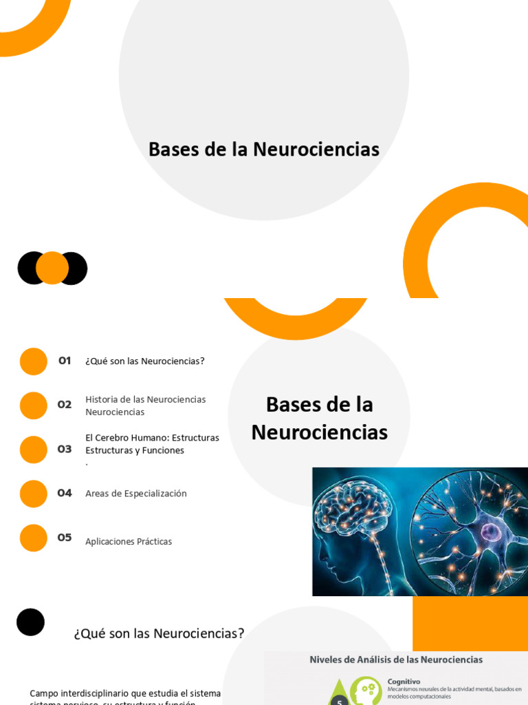Fundamentos de las Neurociencias | PDF | Neurociencia | Cerebro