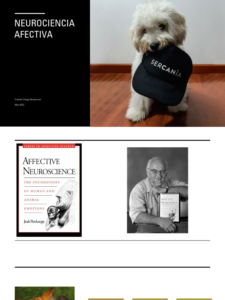 NEUROCIENCIA Afectiva SISTEMAS DE PANKSEPP | PDF