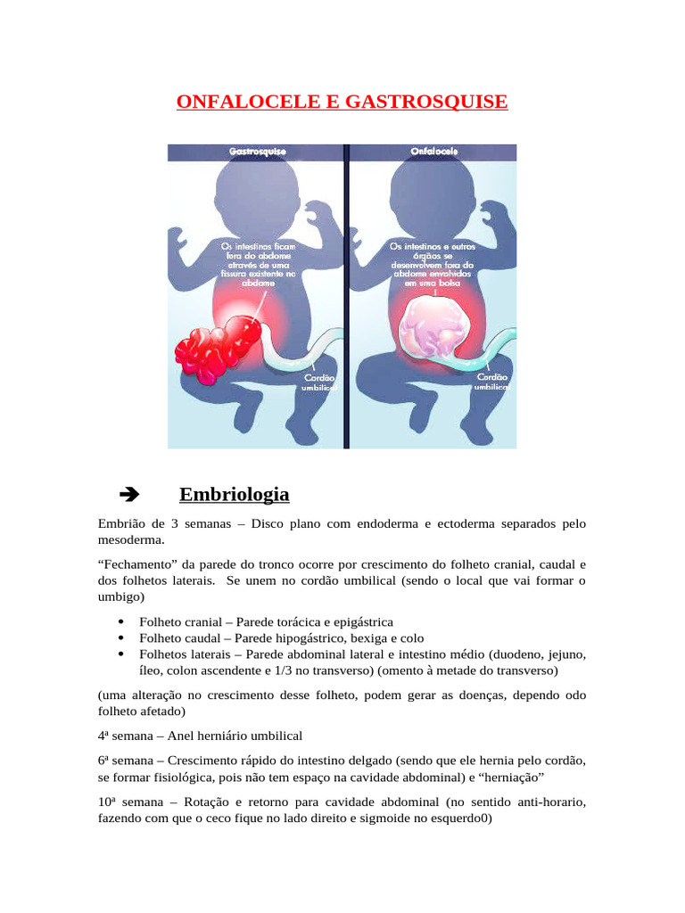 Onfalocele e Gastrosquise: Guia Médico | PDF | Gravidez ...