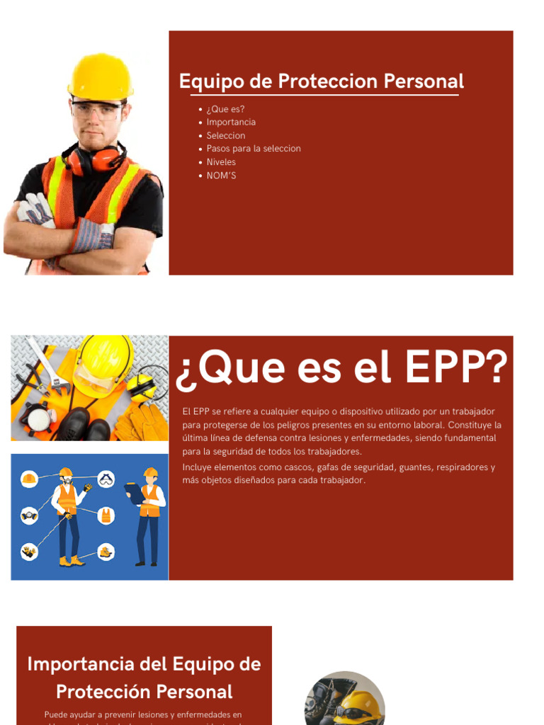Guía de EPP para Trabajadores | PDF | Valores | Defensa Civil