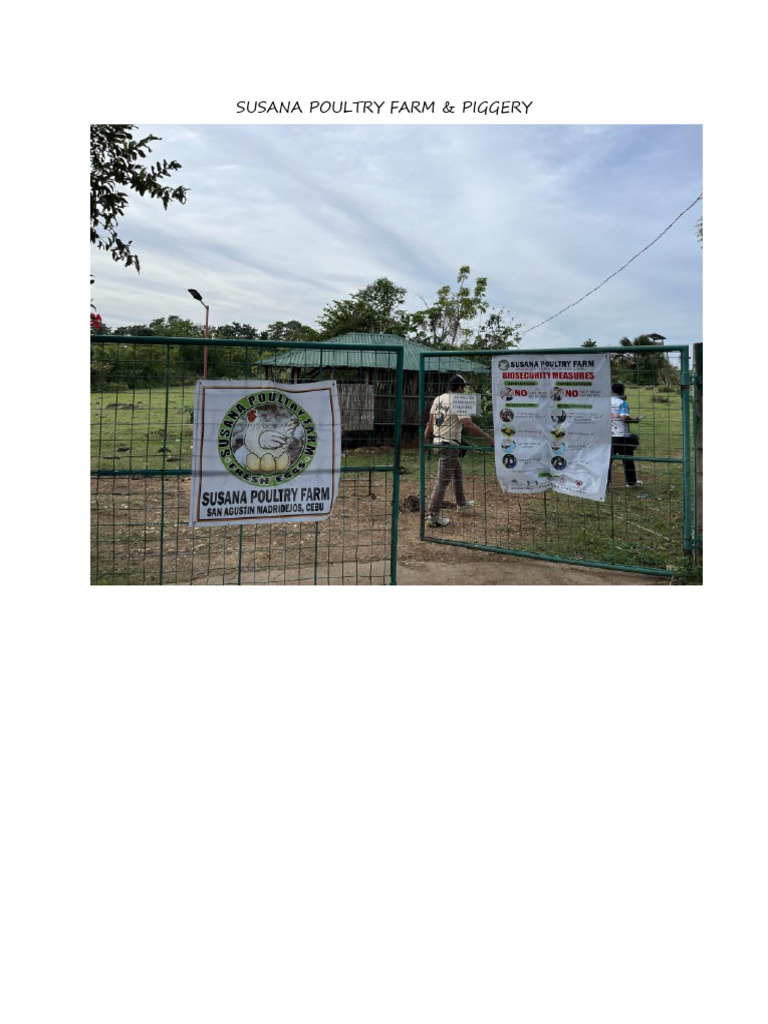 Susana Poultry Farm & Kai Agrivet Supply Farm | PDF