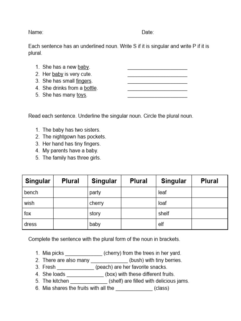 Singular and Plural Noun Exercises | PDF | Plural