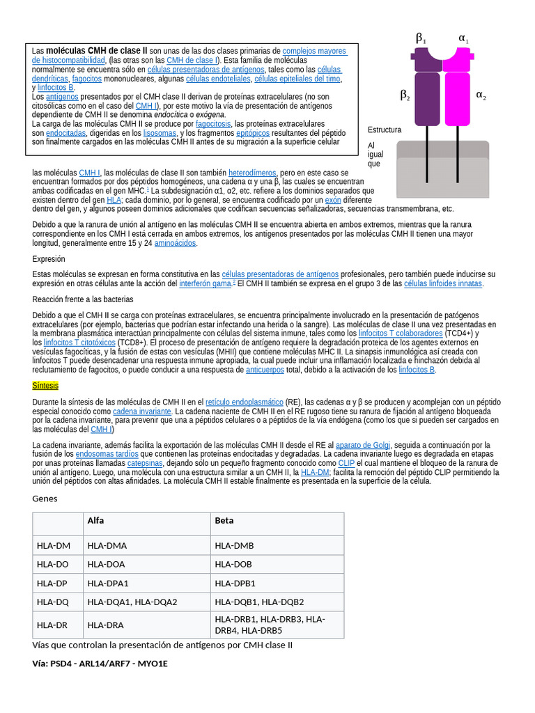 Estructura y función del CMH clase II | PDF | Sistema inmune | Bioquímica