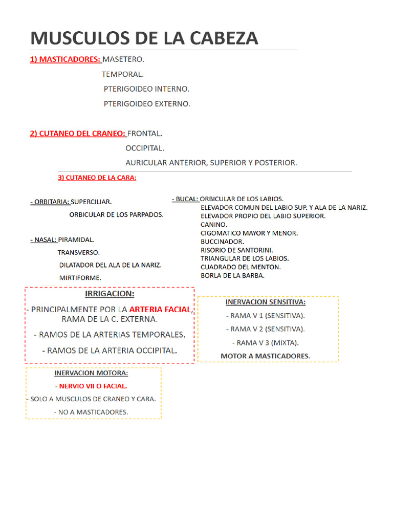 Musculos Cabeza Y Cuello Pdf