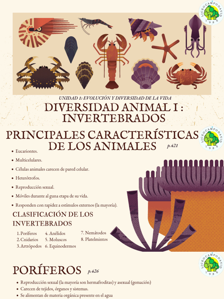 Clasificación de Invertebrados: Características | PDF | Invertebrado ...