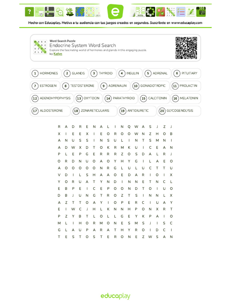 Endocrine System Word Search Puzzle | PDF | Glands | Endocrine System