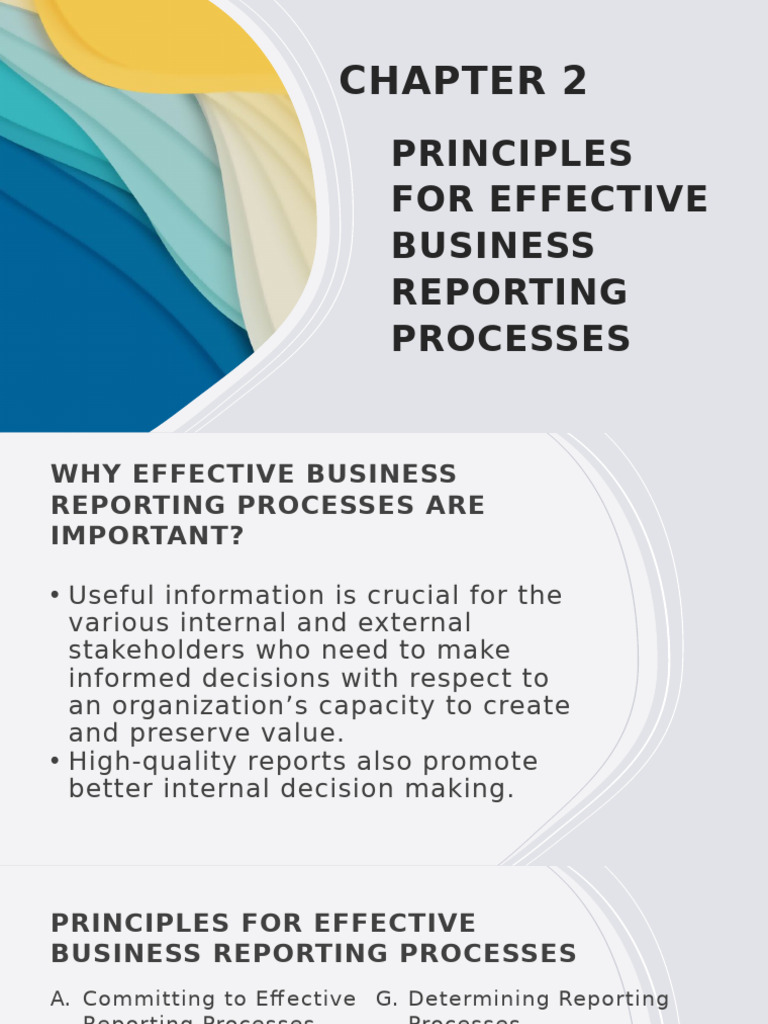 Principles For Effective Business Reporting Processes | PDF | Information | Business