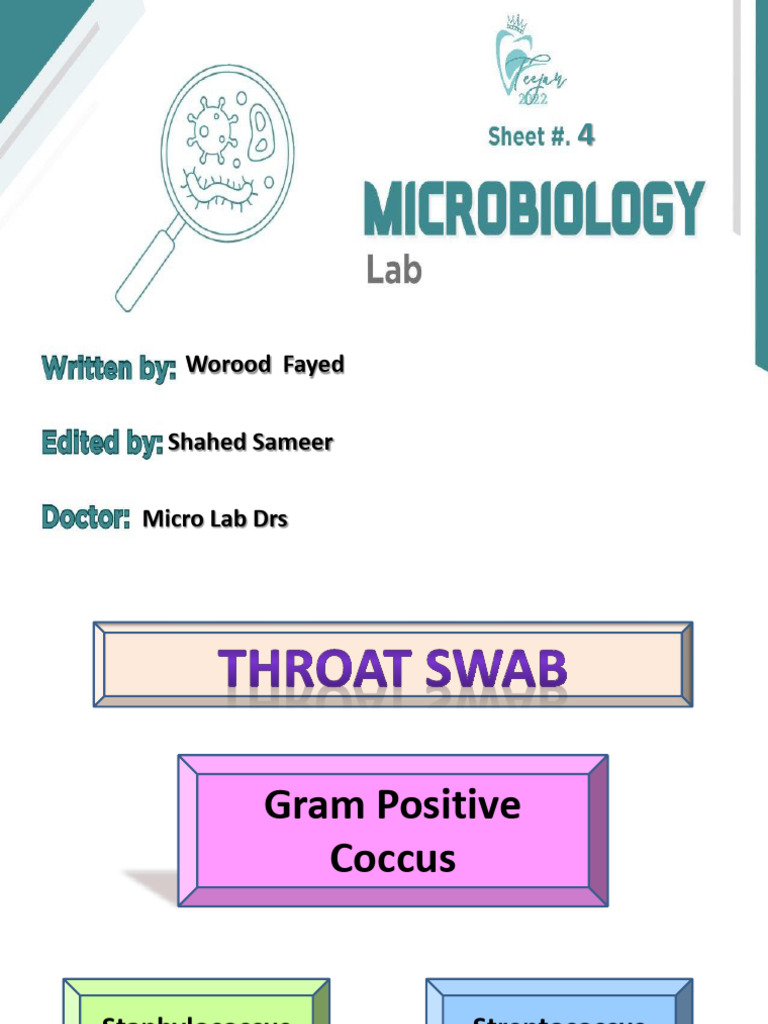 Microbiology Lab Sheet #4 - 241219 - 133001 | PDF | Streptococcus | Staphylococcus