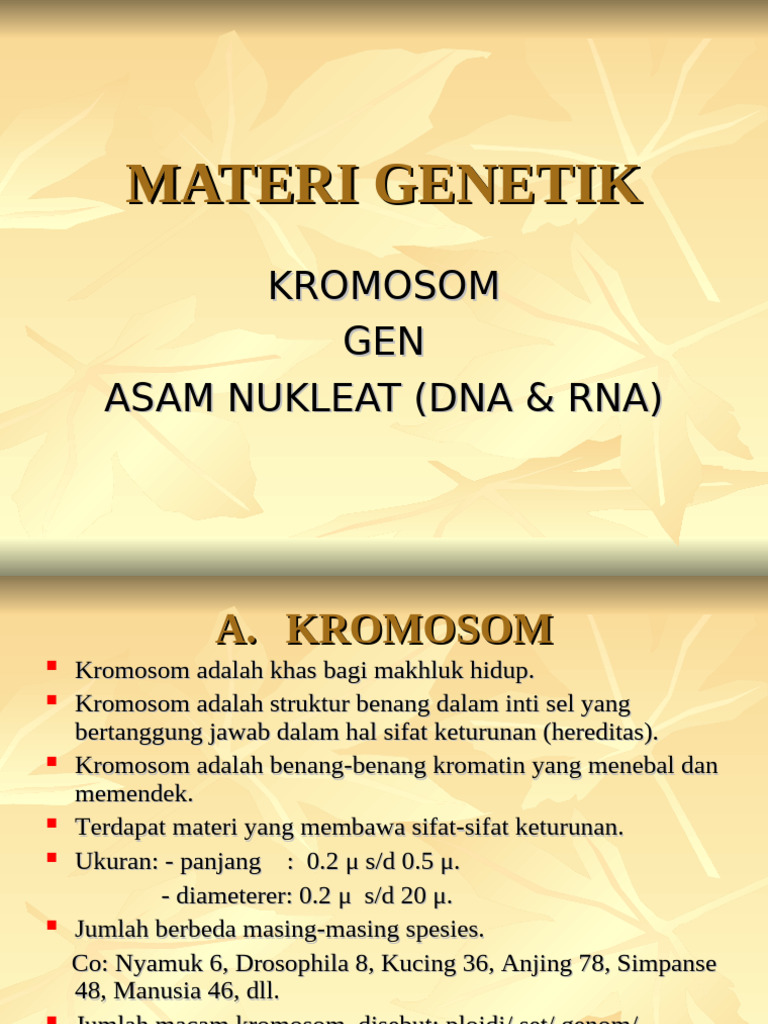 ppt-MATERI GENETIK-Kromosom-DNA-RNA-Gen Dan Sintesis Protein-P Gun | PDF