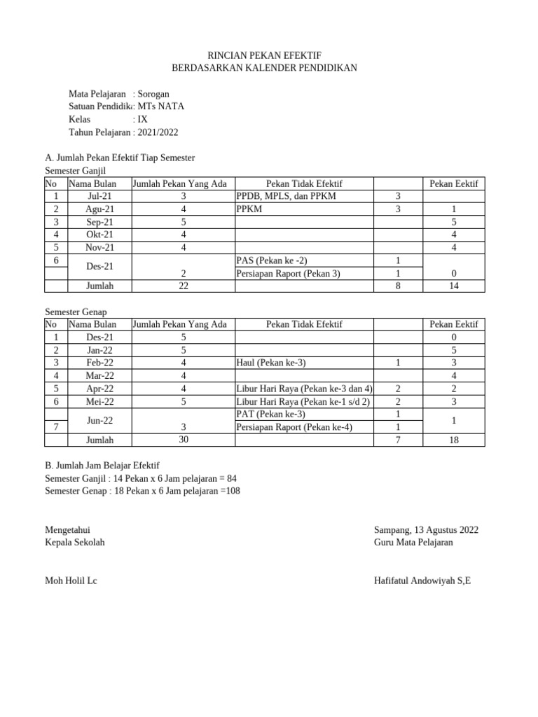 RPE, PROTA, PROMIS, KALDIK Kls IX | PDF