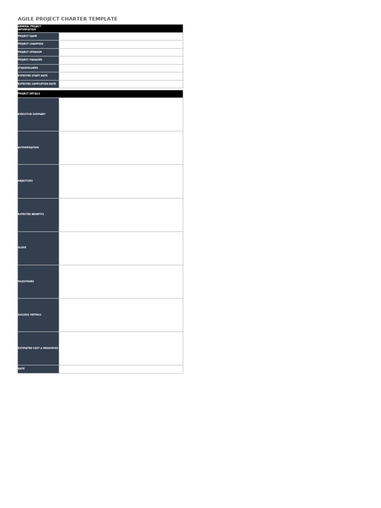 (Template) Agile Project Charter | PDF