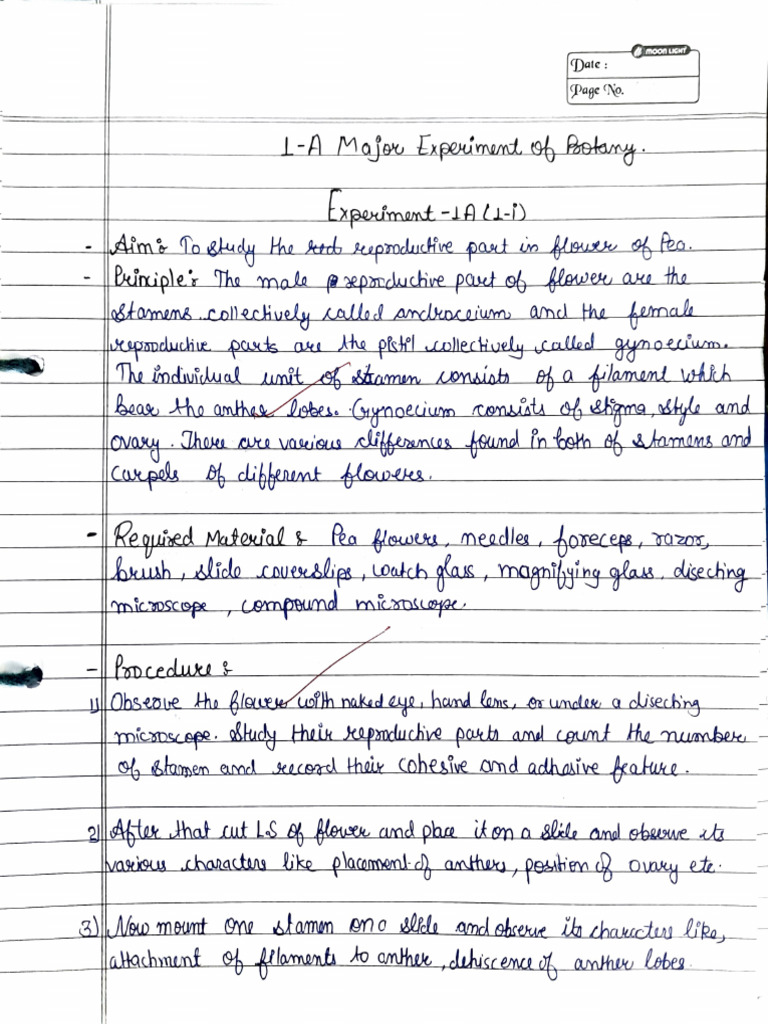 12 TH | PDF