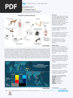 ANA Profile 3 Test Instructions | PDF | Dna | Macromolecules