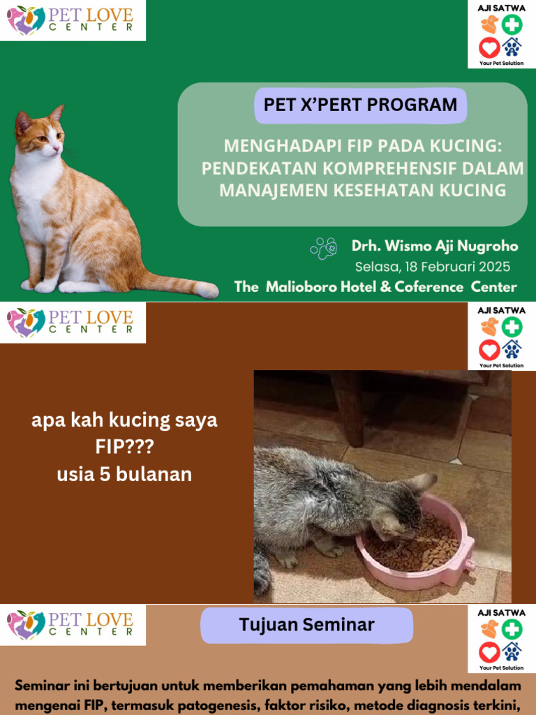 Mengatasi FIP pada Kucing: Strategi Efektif | PDF