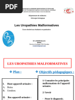 Syndrome de la Jonction Pyelo-Uréterale | PDF | Rein | Spécialités ...