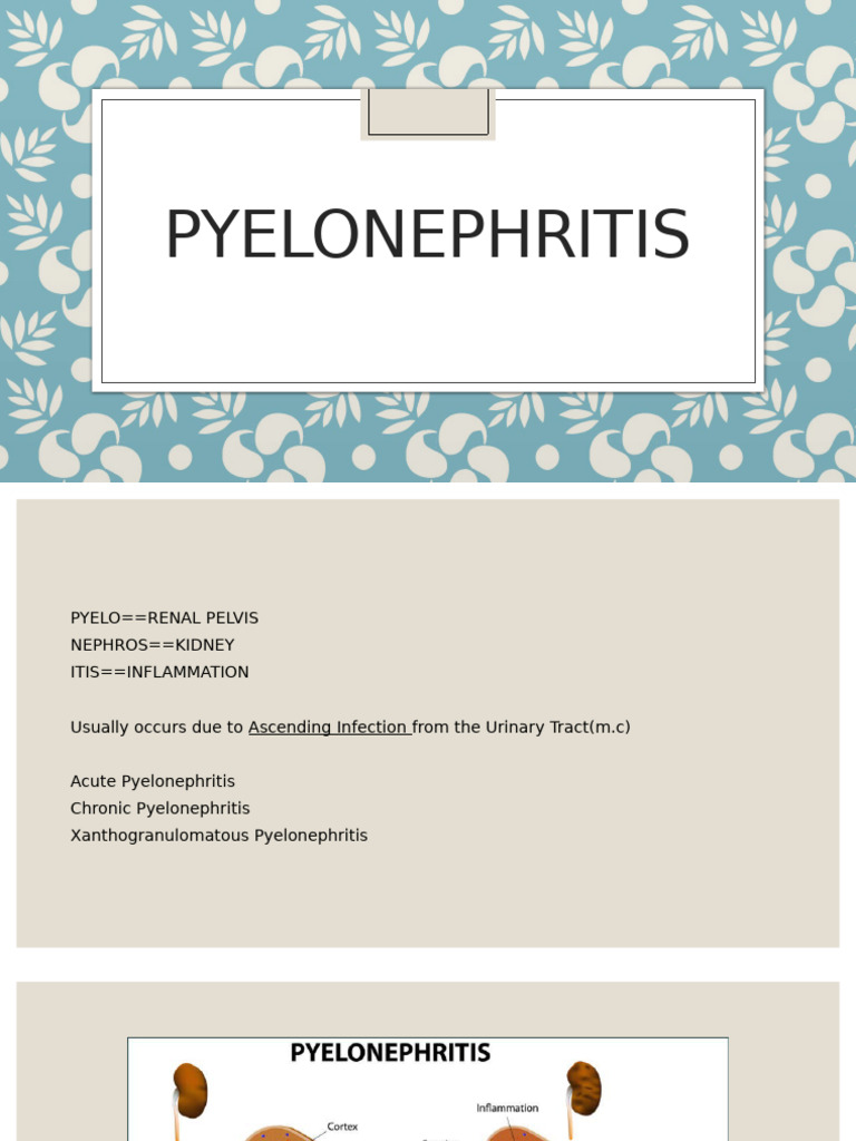 Pyelonephritis Overview for Clinicians | PDF | Kidney | Medical Specialties