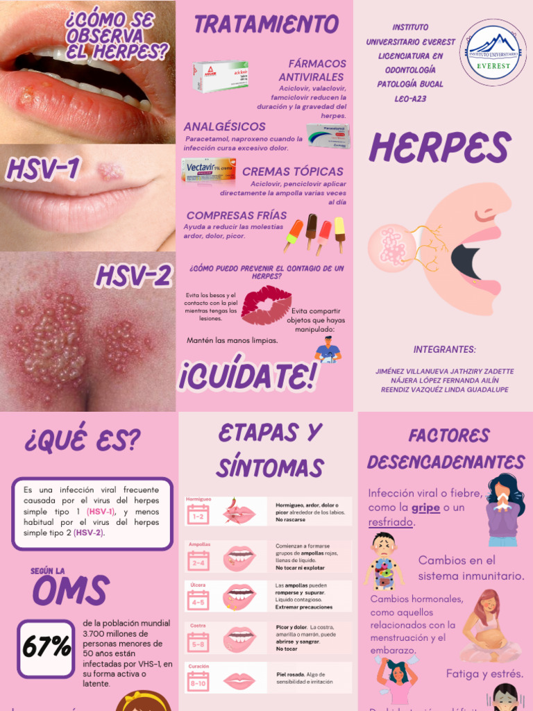 Triptico Herpes | PDF | Virus | Especialidades Medicas