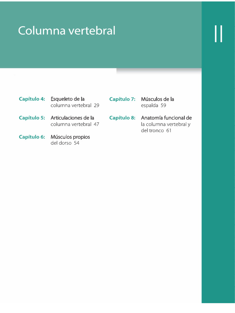 Columna | PDF