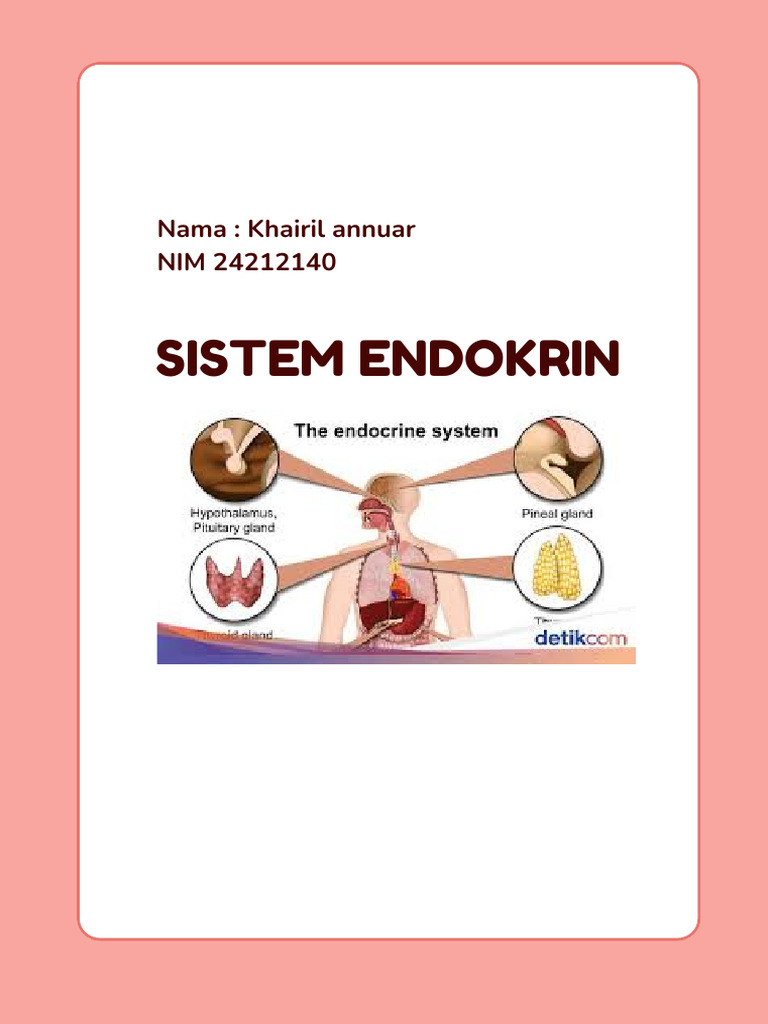 Sistem Endokrin | PDF