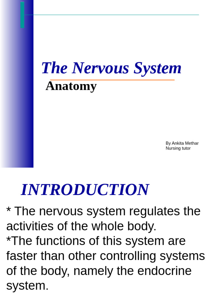 Overview of the Nervous System Functions | PDF | Neuron | Axon